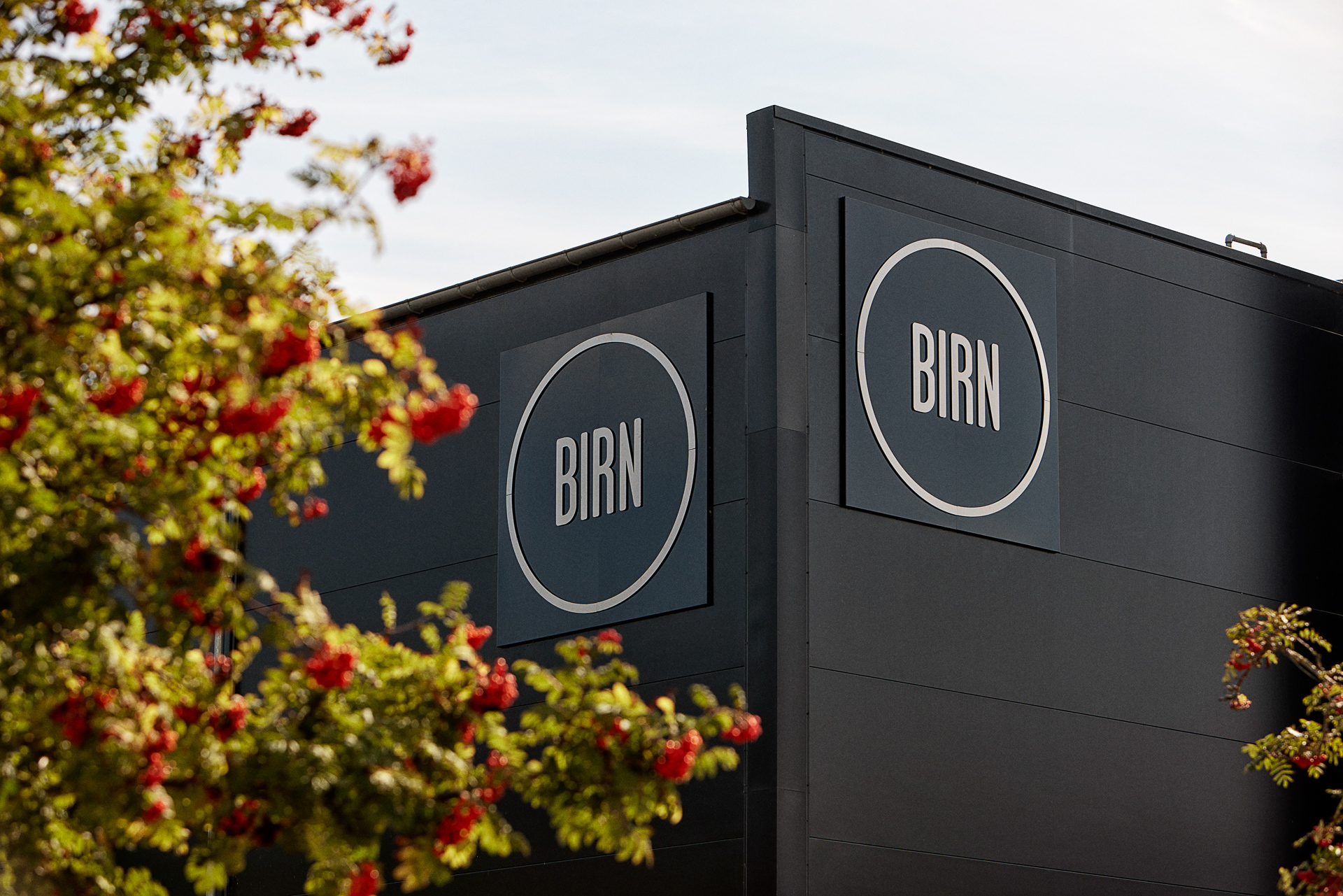 Om BIRN | BIRN